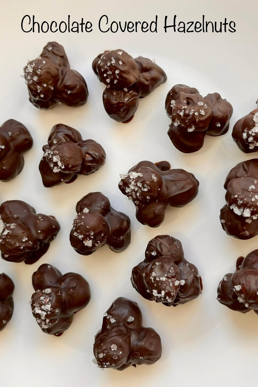 Chocolate Covered Hazelnuts (Easy and Delicious) - A Sweet Alternative
