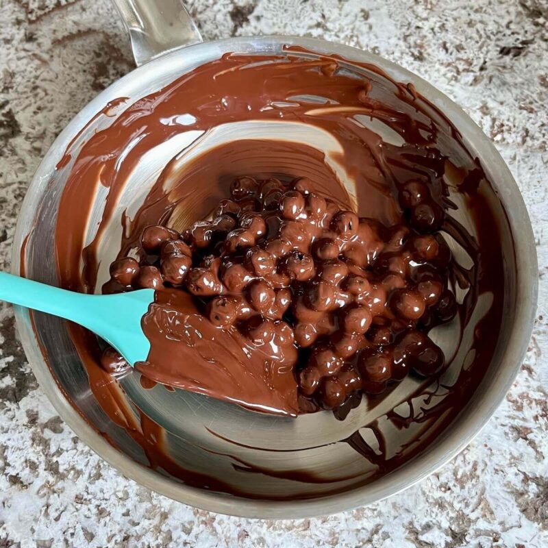 Dark Chocolate Covered Blueberries (An Easy and Delicious Treat) - A ...
